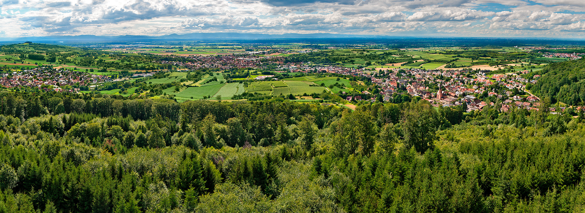 Gemeinde Friesenheim - Startseite