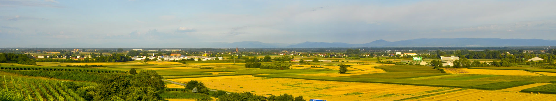 Gemeinde Friesenheim - Impressum